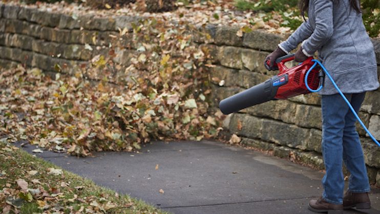 electric leaf blower