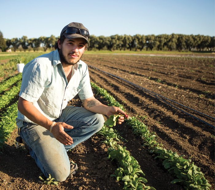 Finding Opportunities in the Small Farming Trend